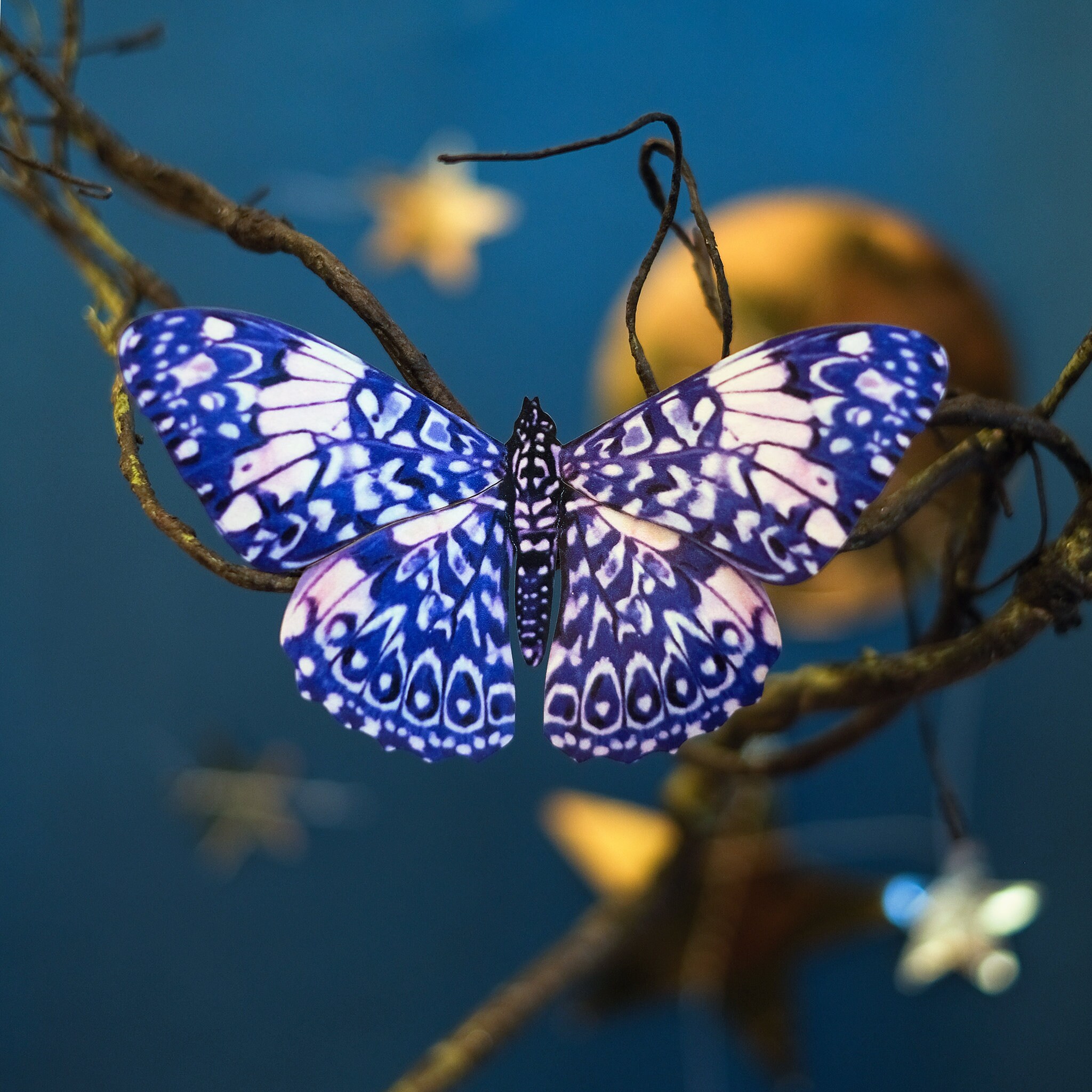 Realistic Paper Butterflies Double-sided Butterfly Paper-cut - Etsy