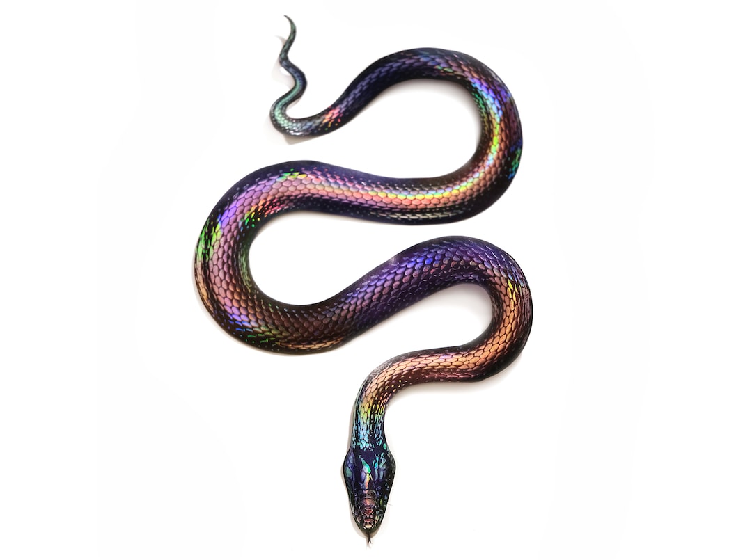 Realistic Foil Embellished Paper Snake, Double-sided, Holographic ...