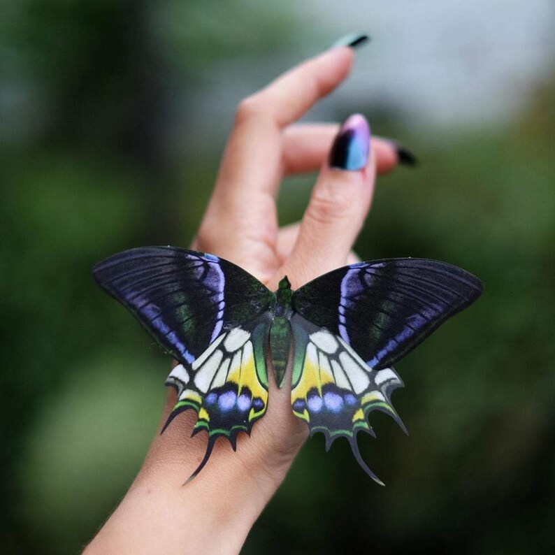 Realistic Paper Butterflies, Double-sided, Butterfly Paper-cut Craft ...