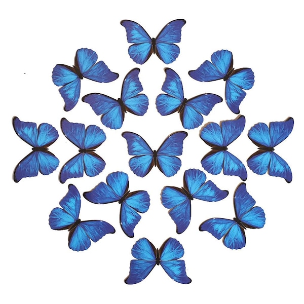Morpho Butterfly - Etsy
