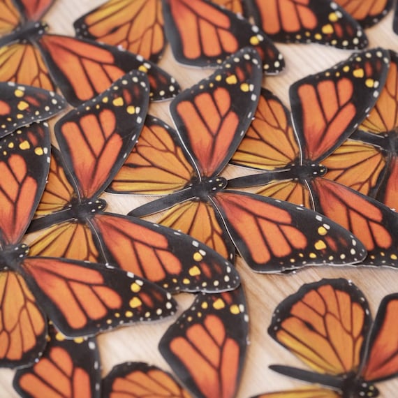 Double-sided Faux Butterfly 16x Realistic Paper Monarch Paper-cut Craft ...