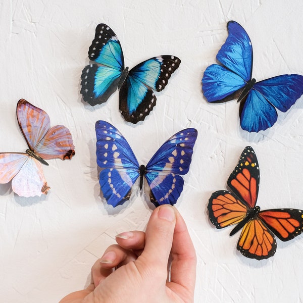 Realistic Butterfly - Etsy