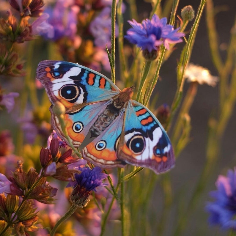 Realistic Paper Butterflies, Colorful Faux Butterfly Cutouts, 'dawn ...