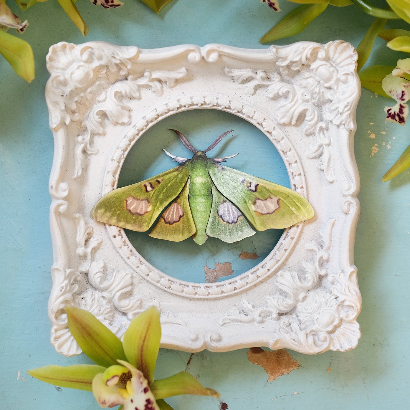 Pastel Faux Moth Cutouts, 'limelight' Paper Moths Set - Etsy