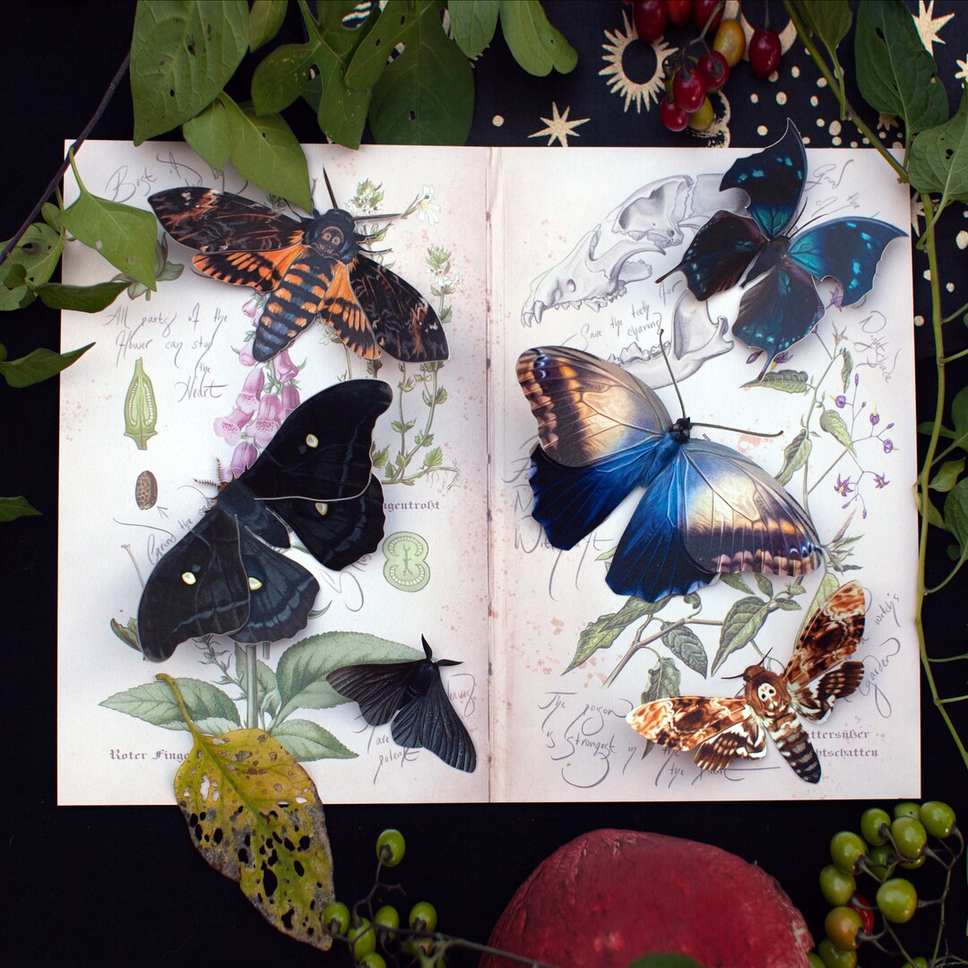 Halloween - Realistic Paper Moth, Double-sided Paper Cut Craft ...