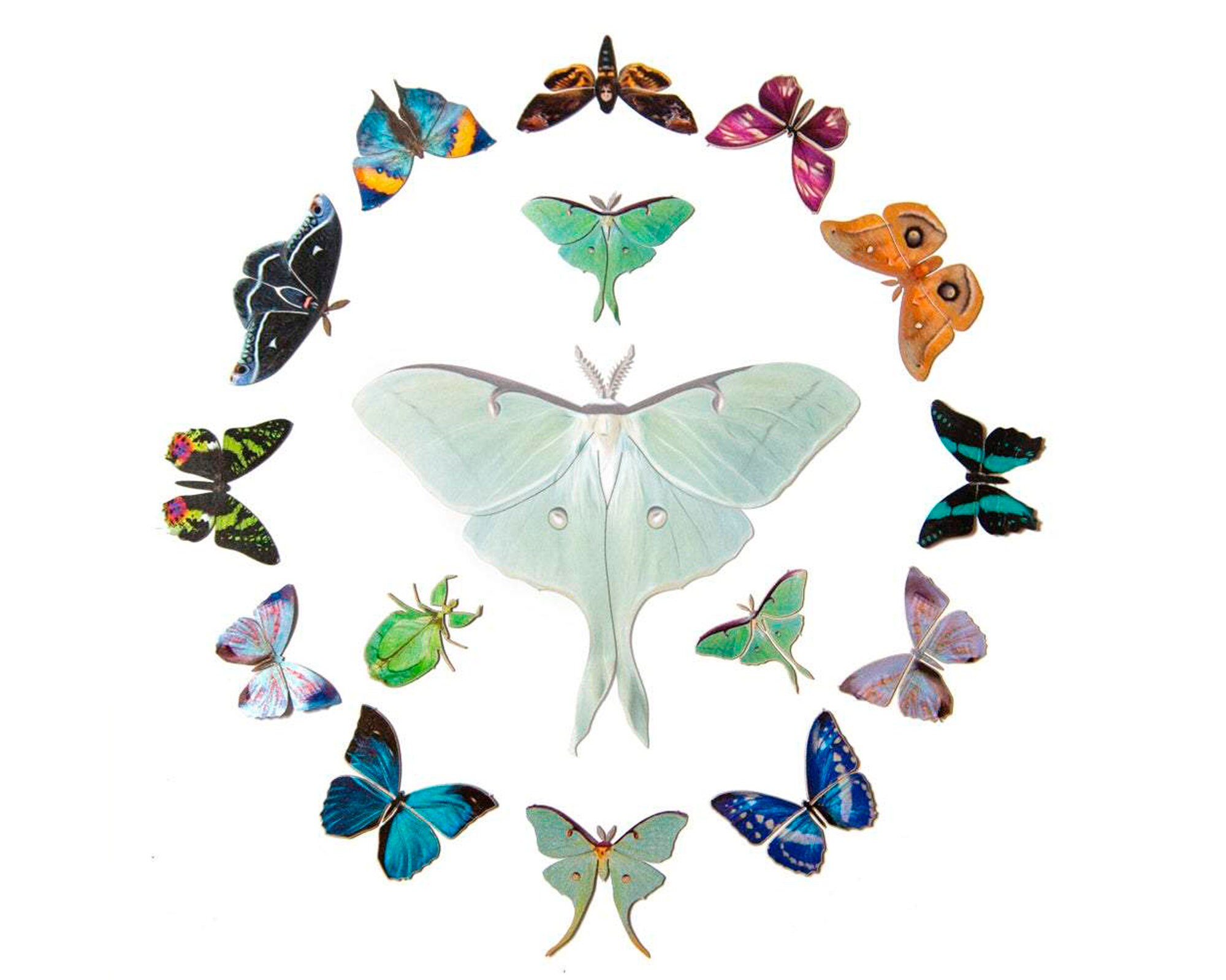 Papillons en papier miniature réalistes découpes dartisanat | Etsy