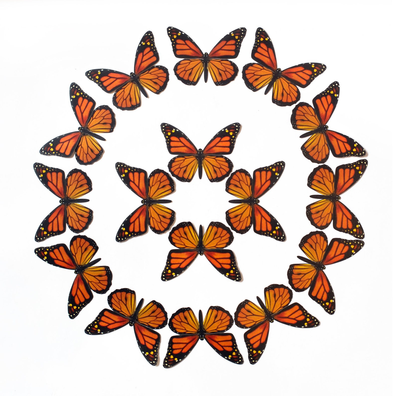 16x Paper Monarch Butterflies, Realistic Double-sided, Faux Butterfly ...