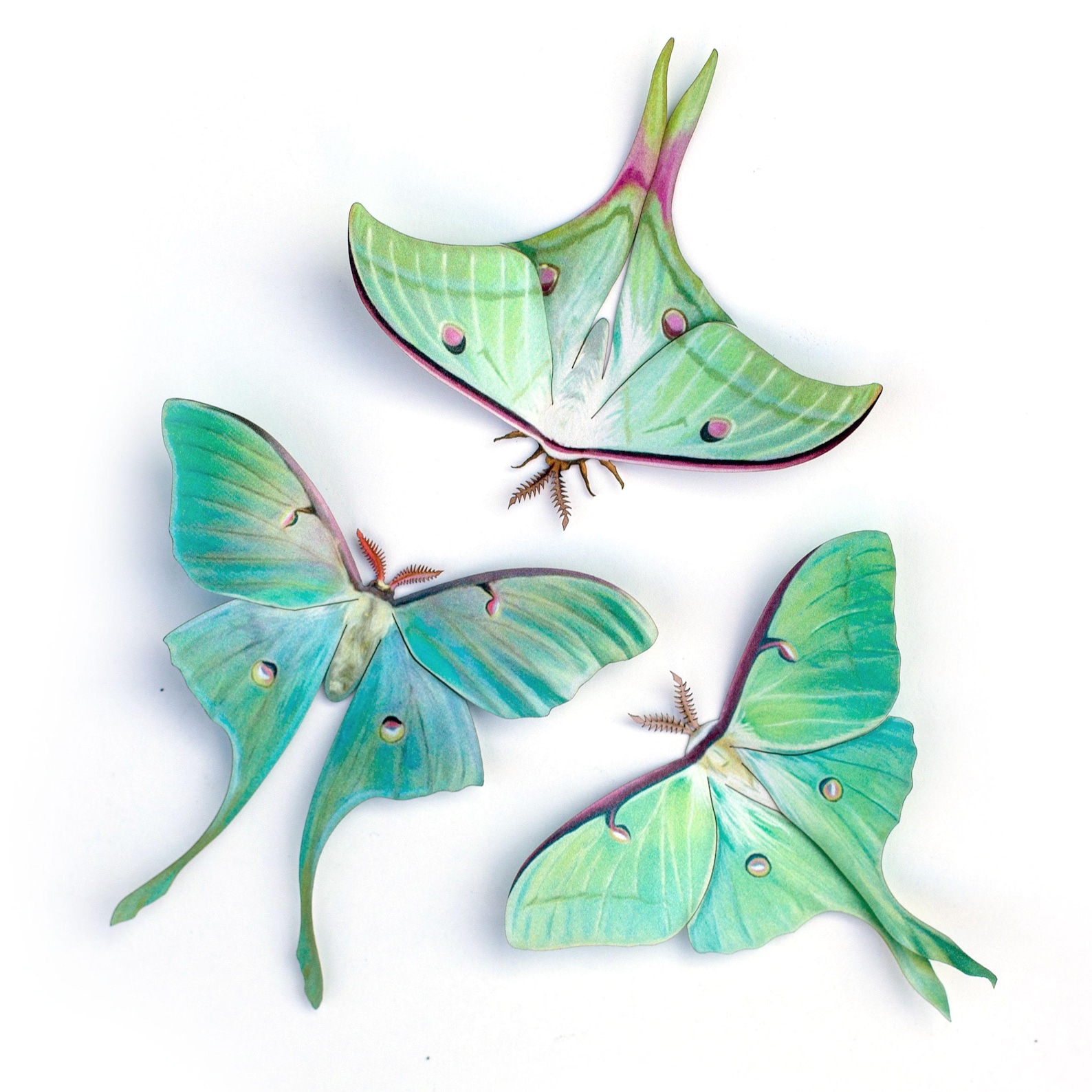 Realistic Paper Luna Moth, Double-sided, Faux Butterfly Papercut Craft ...