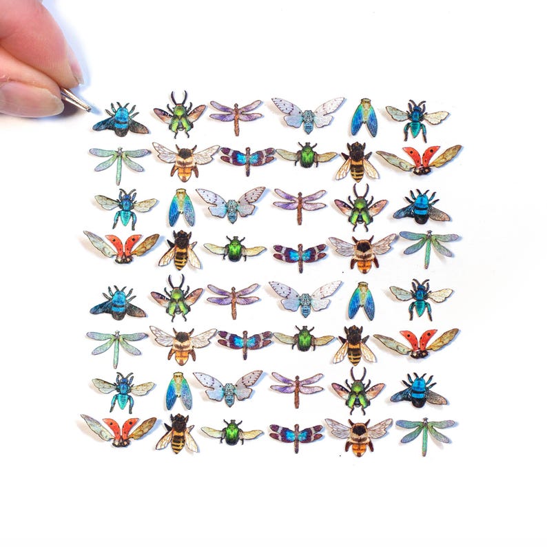 Teeny Tiny Paper Insect Cutouts, Mixed Bugs, Diorama Miniatures - Etsy