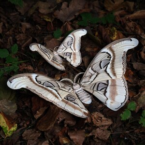 Giant Paper Ghost Atlas Moth for Halloween, Double-sided Butterfly ...