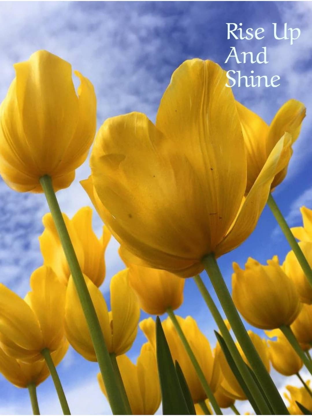 Rise up and Shine Digital Download, Empowering Wall Art, Inspirational ...