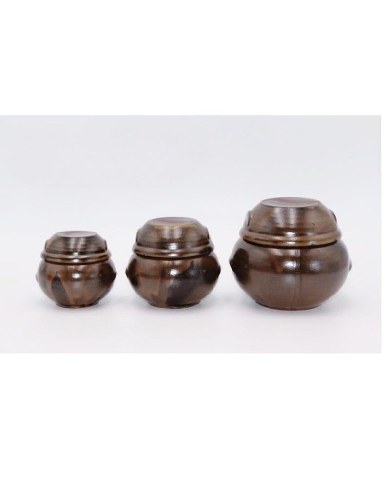 Korean Jabak Onggi – Egg-shaped Clay Pot With Vintage Lid, Kimchi ...