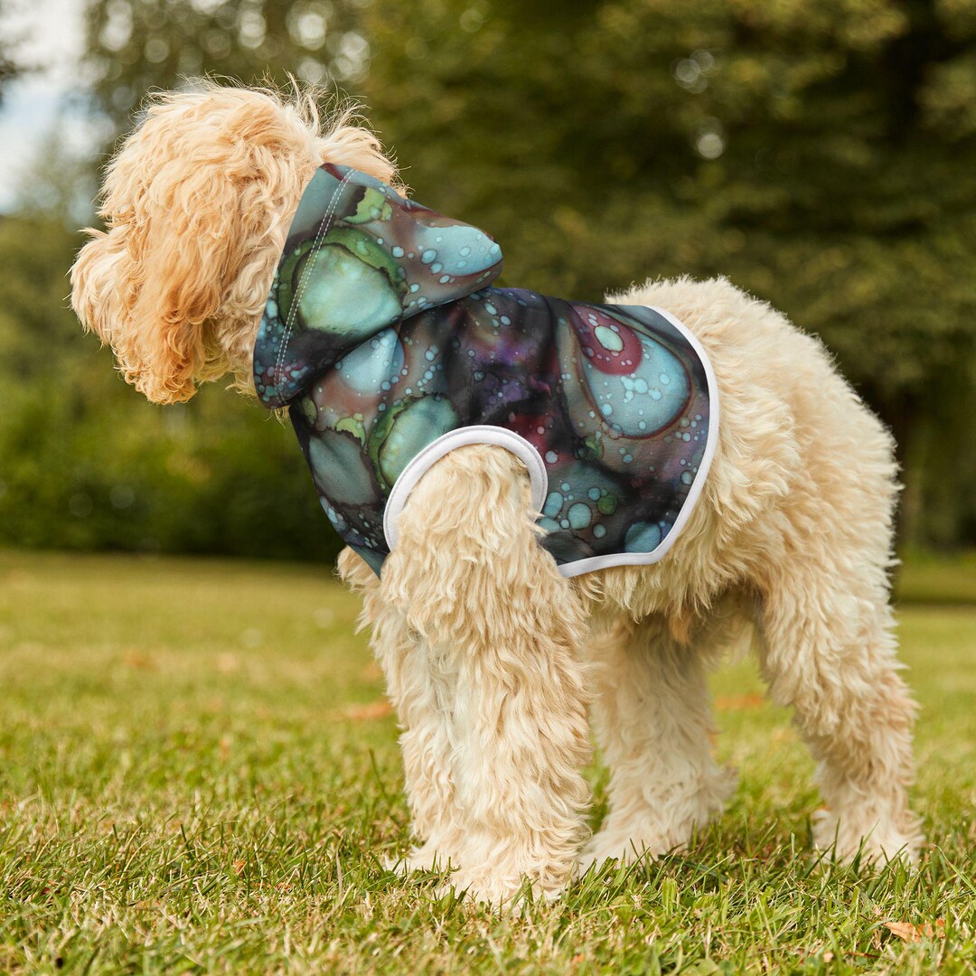 Pet Hoodie Cute Fashion Dog Sweater Stylish Cat Outfit Apparel Fun Cute ...