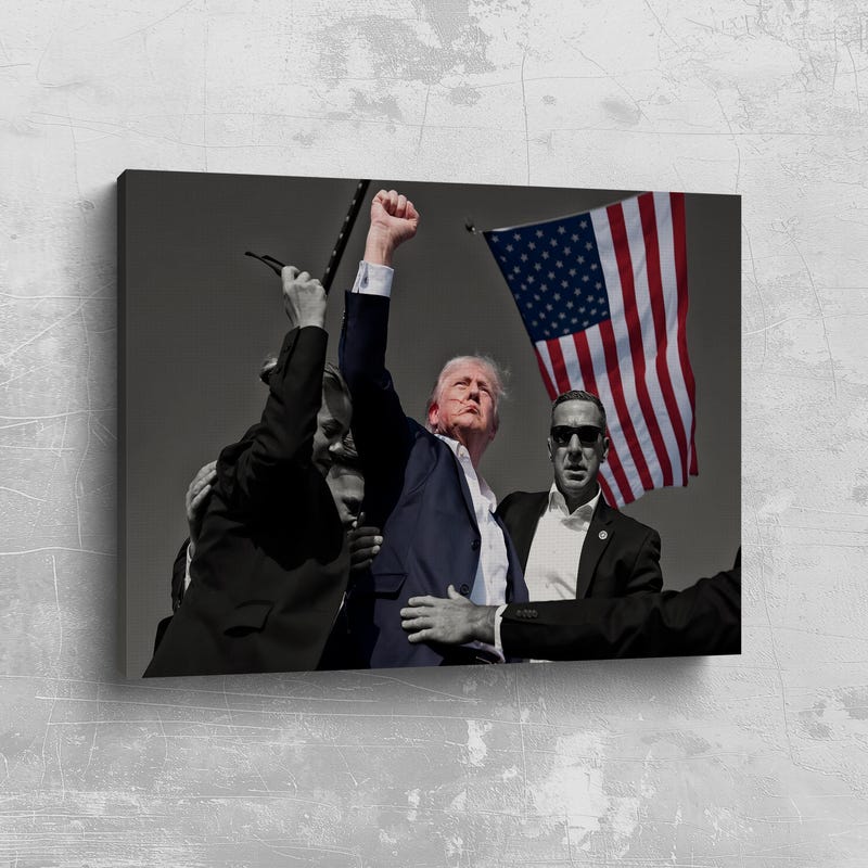 Trump Canvas Wall Art - Etsy