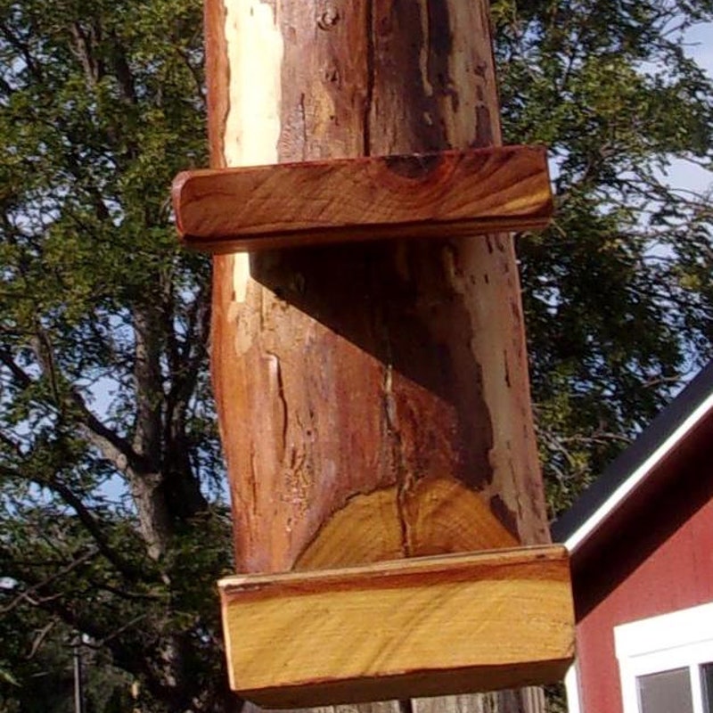 Log Bird Feeder - Etsy