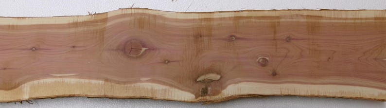 Rough Cut Cedar Half Round Logs - Etsy Australia