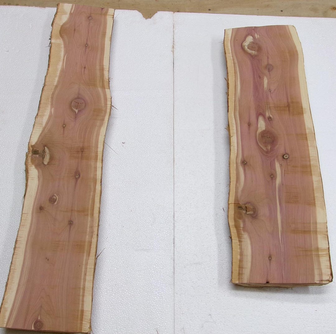Rough Cut Cedar Half Round Logs - Etsy Australia