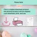 Secret Bunny Questionnaire, Easter Gifts for Teens, Secret Bunny Survey ...