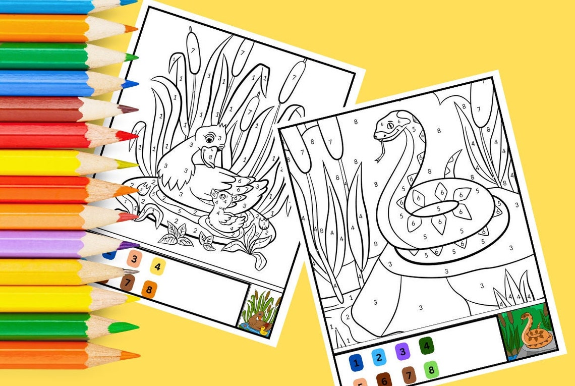 Coloring Pages by Number, 25 Digital Coloring Pages, Book for Kids ...