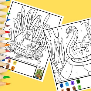 Coloring Pages by Number, 25 Digital Coloring Pages, Book for Kids ...