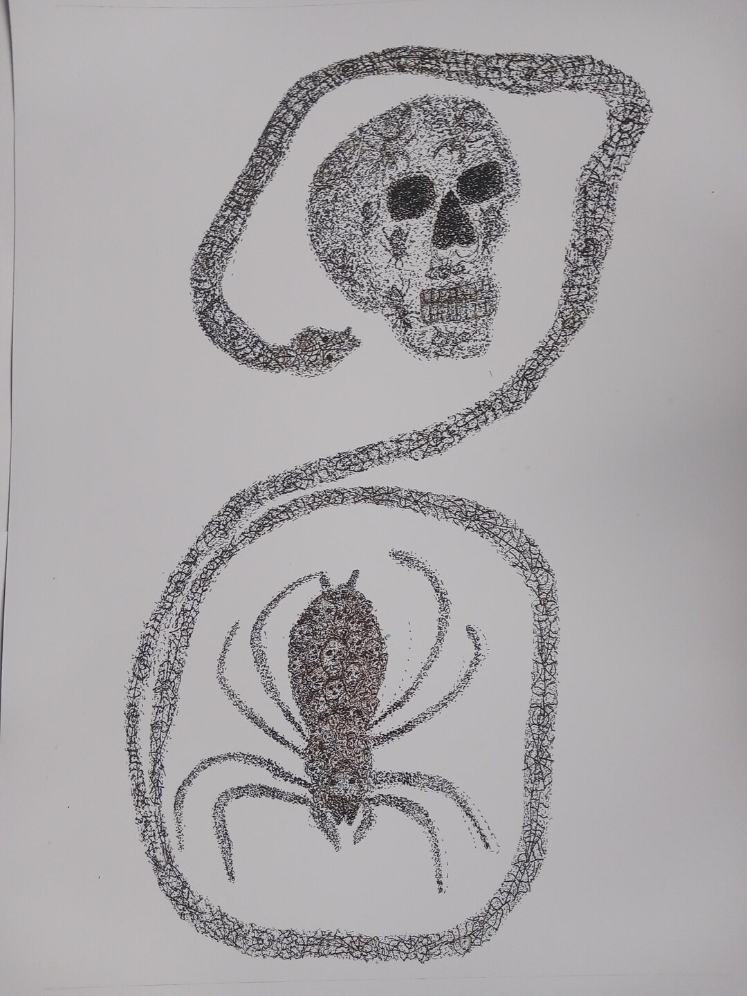 Print of Original Stippling Skull and Spider - Etsy