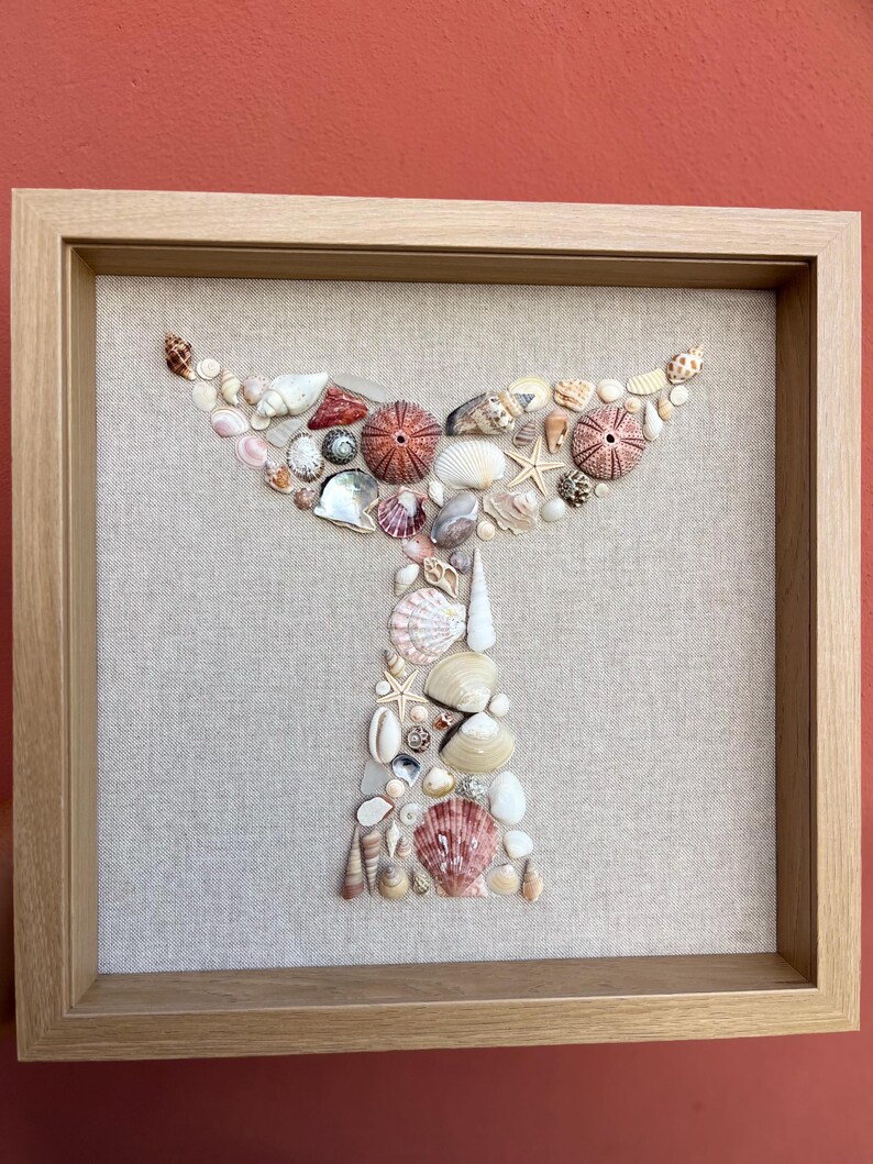 Seashell Framed Art - Etsy