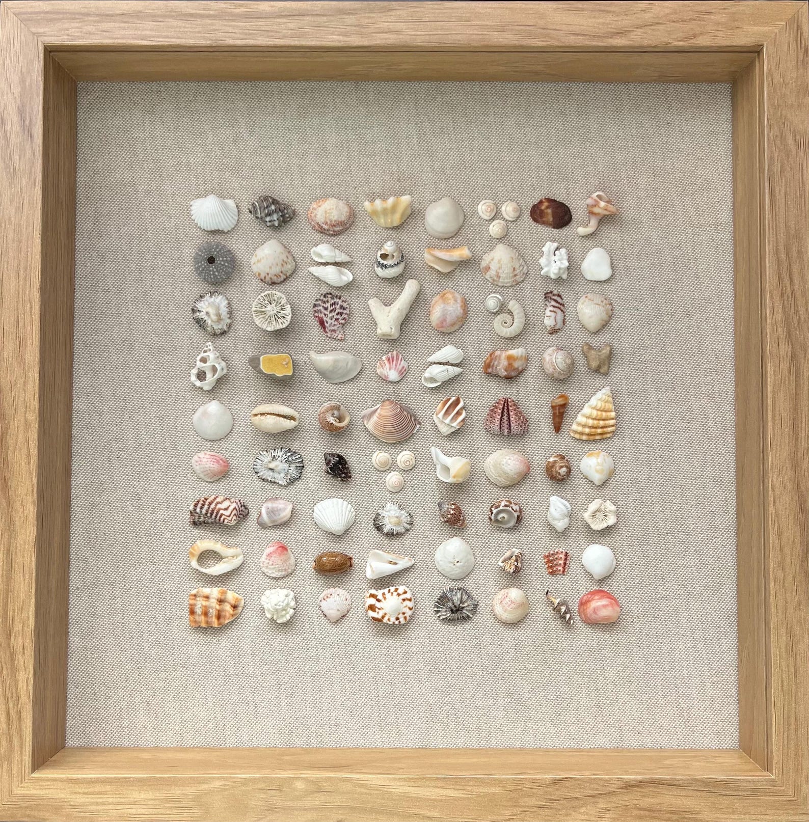 Seashell Art on Canva - Etsy