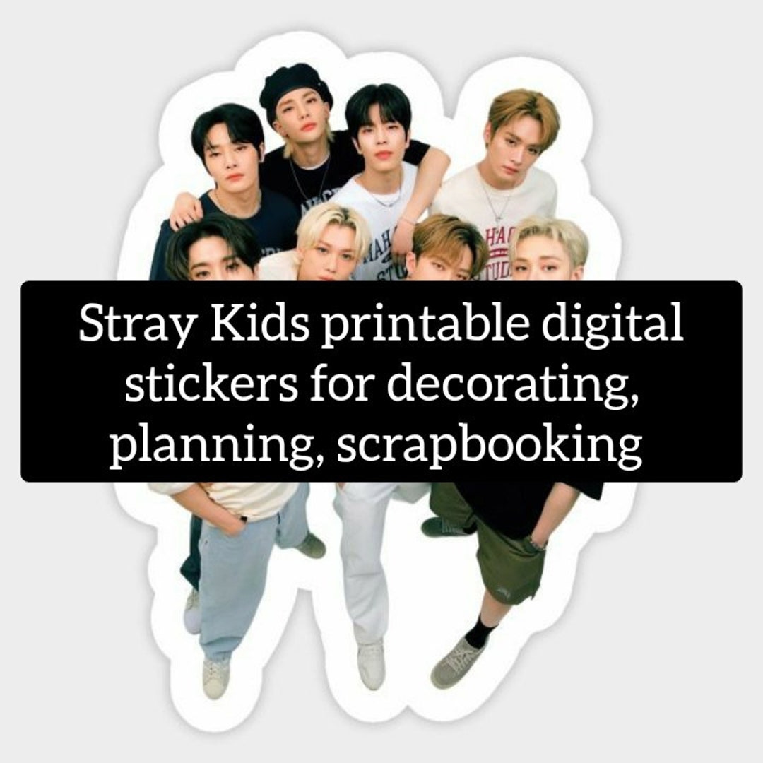 15 Stray Kids Printable Digital Stickers for Decorating, Planning ...