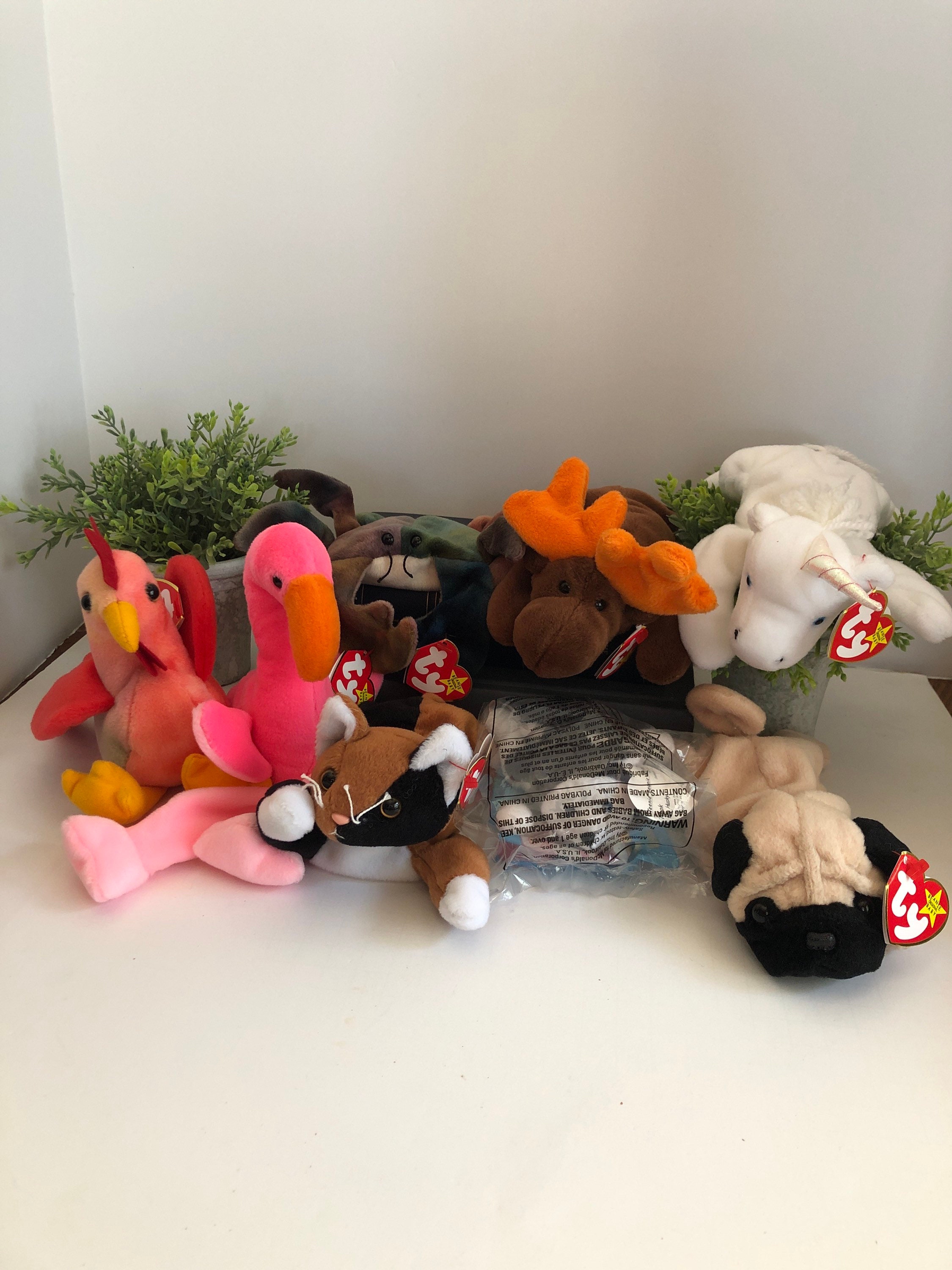 Ty Beanie Babies. Customer Choice. Mystic, Chocolate, Pugsly, Chip ...