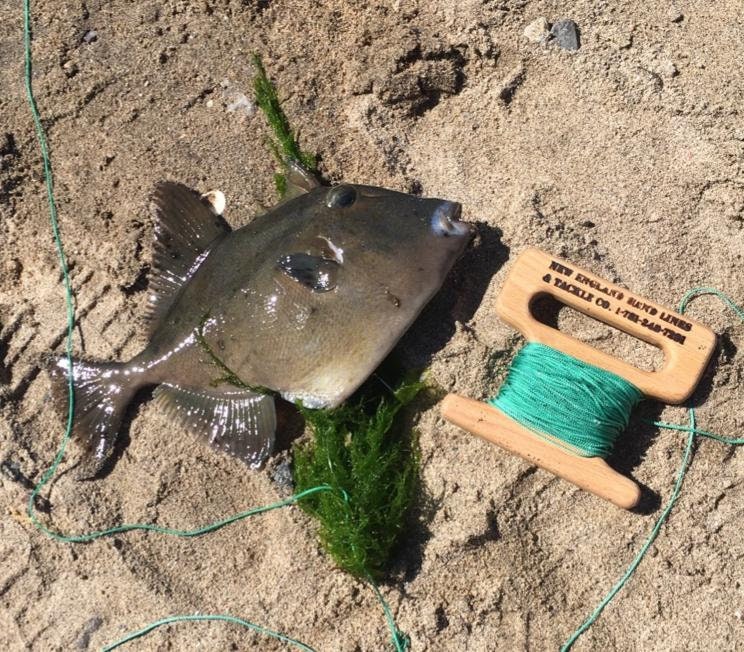 Fishing Hand Line - Drop Line - Camping Equipment - Catch Blue Crabs ...