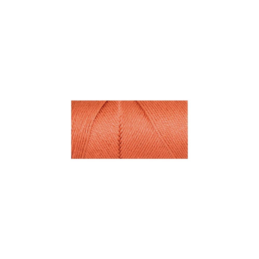 Caron Simply Soft Yarn - Persimmon - Etsy