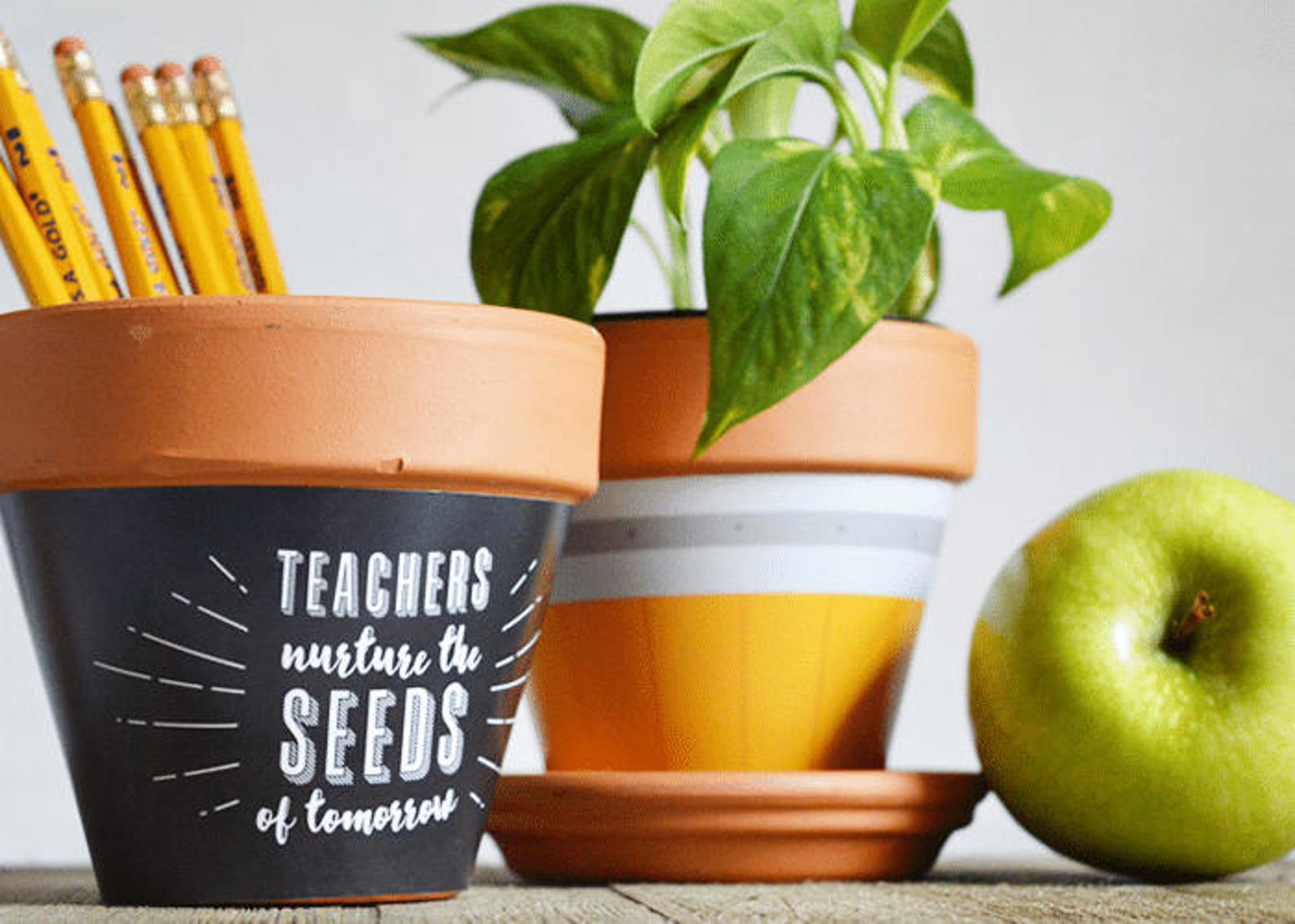 Back to School Plant Wrappers - Etsy