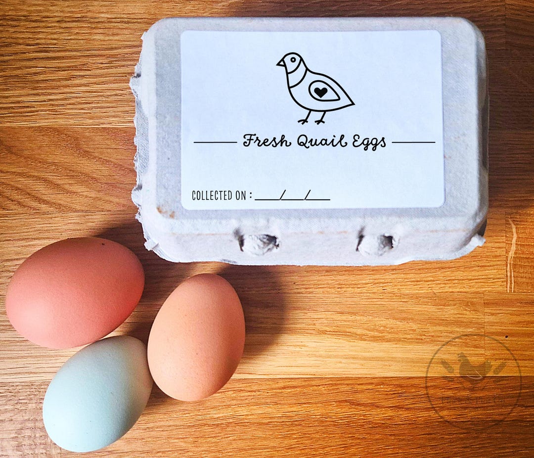 Quail Egg Box Labels – Printable PDF – Quail Design With Date Space – 8 ...