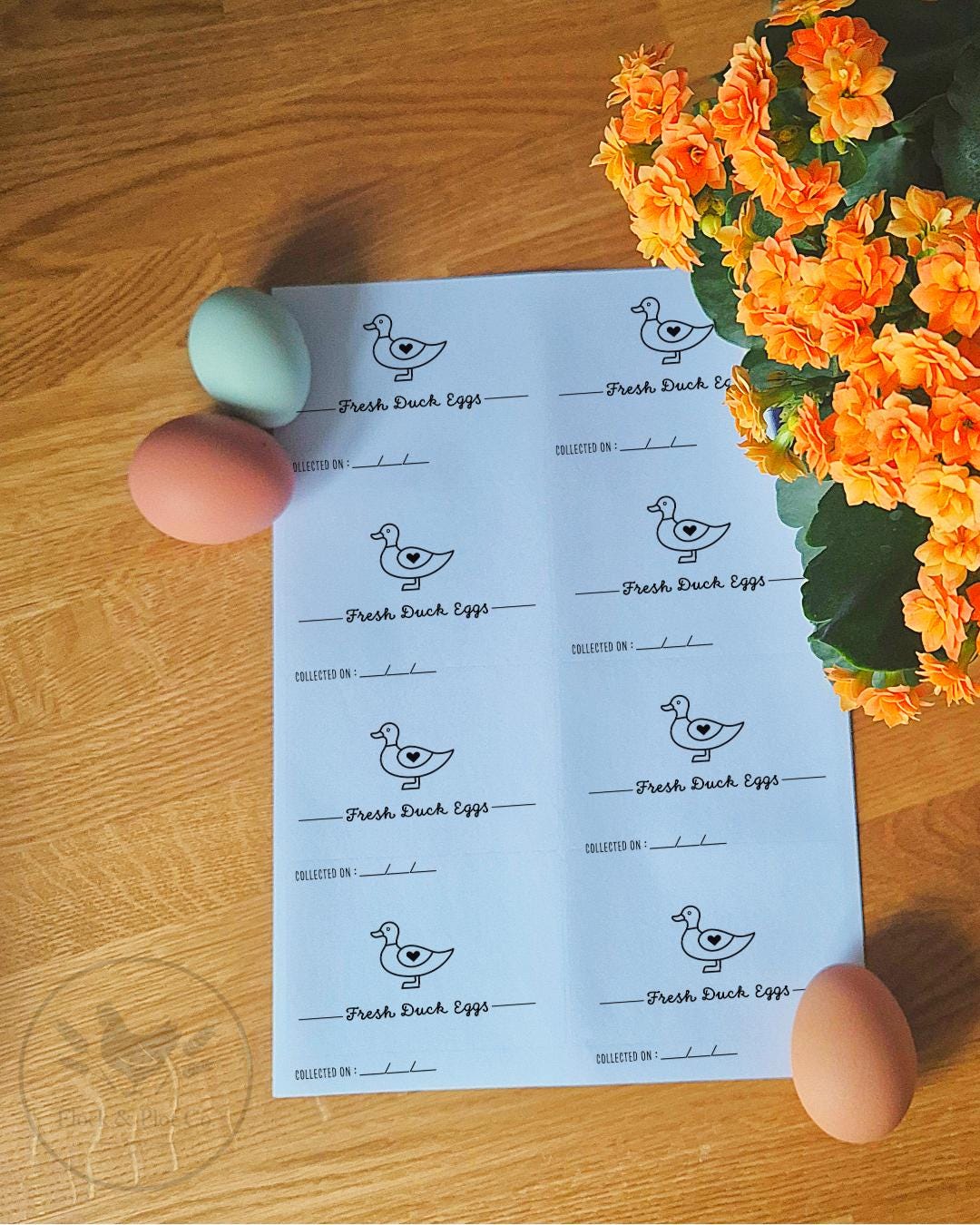 Duck Egg Box Labels – Printable PDF – Duck Design With Date Space – 8 ...