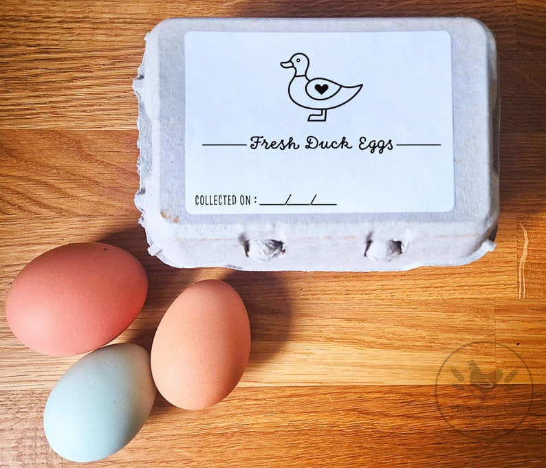 Duck Egg Box Labels Printable PDF Duck Design With Date Space 8 Labels per Page - Etsy