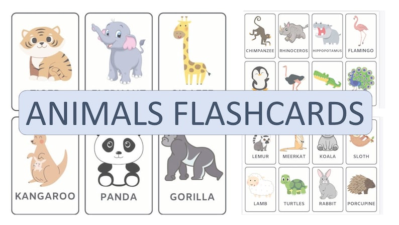Animals in the Zoo Flashcards, Printable Montessori Materials ...