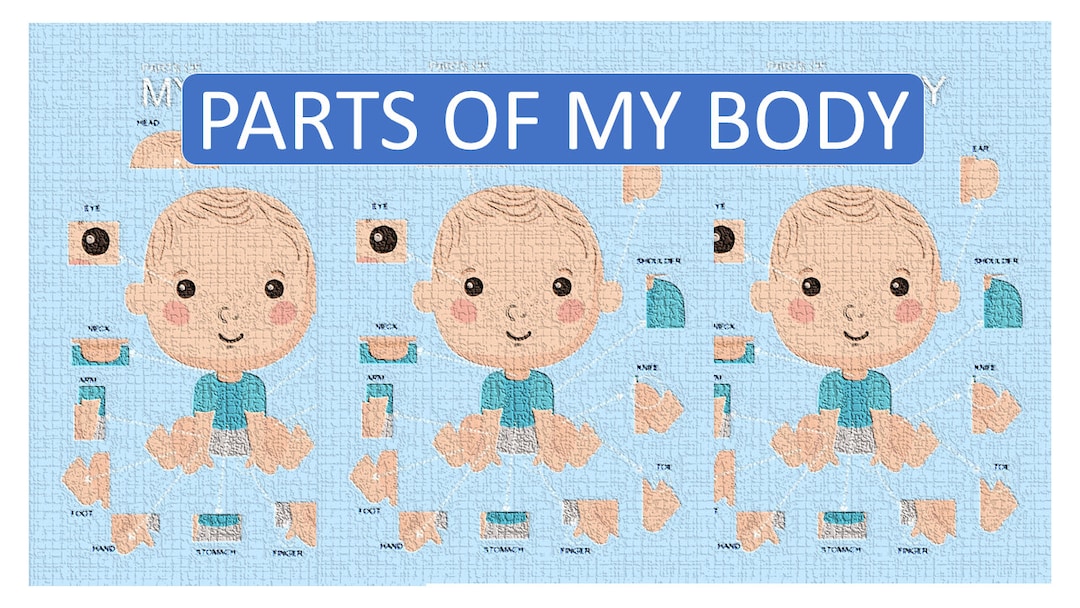 Parts of My Body, Printable Learning Binder, Preschool Anatomy ...