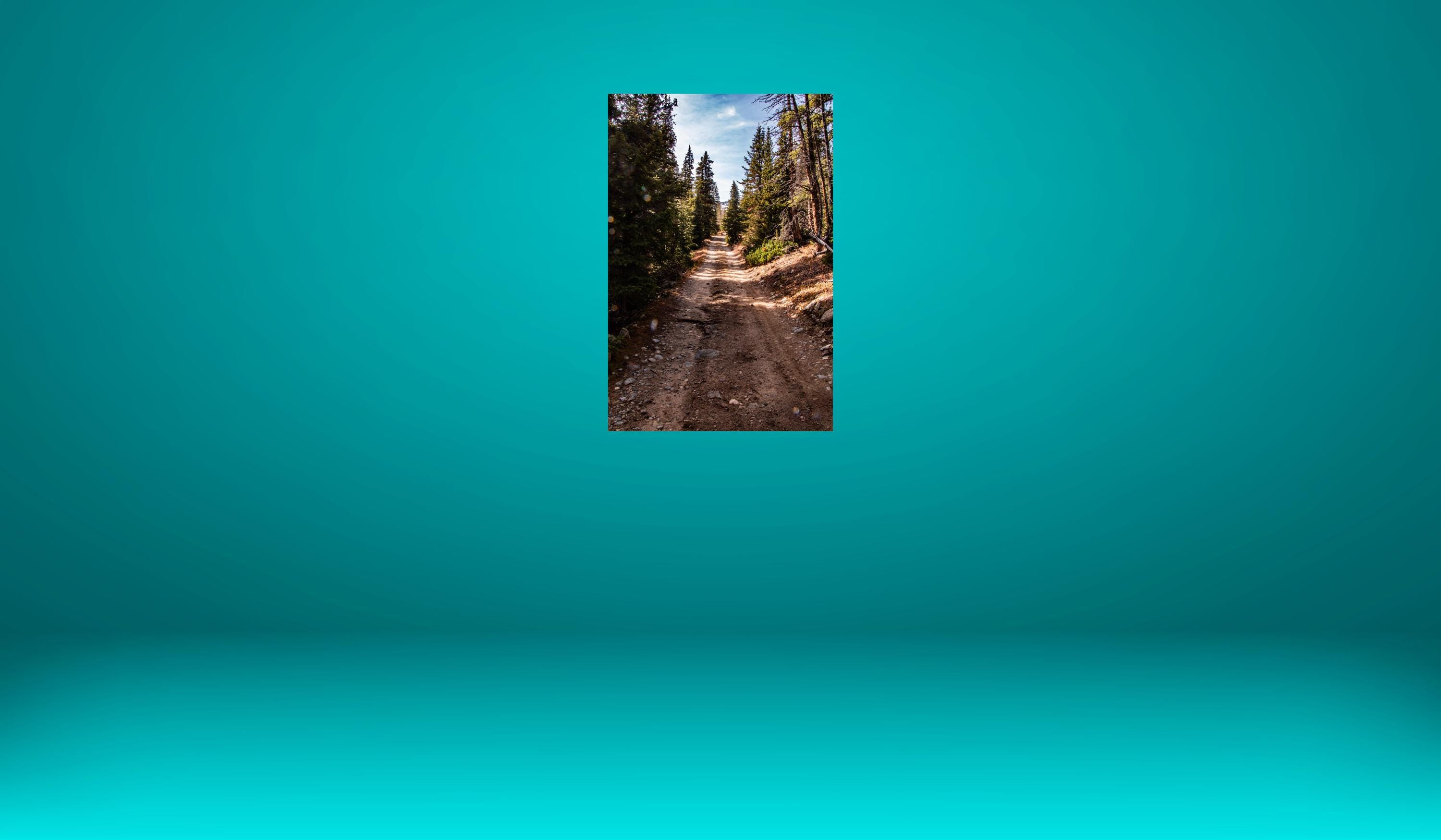 Grizzly Gulch Side Road - Etsy