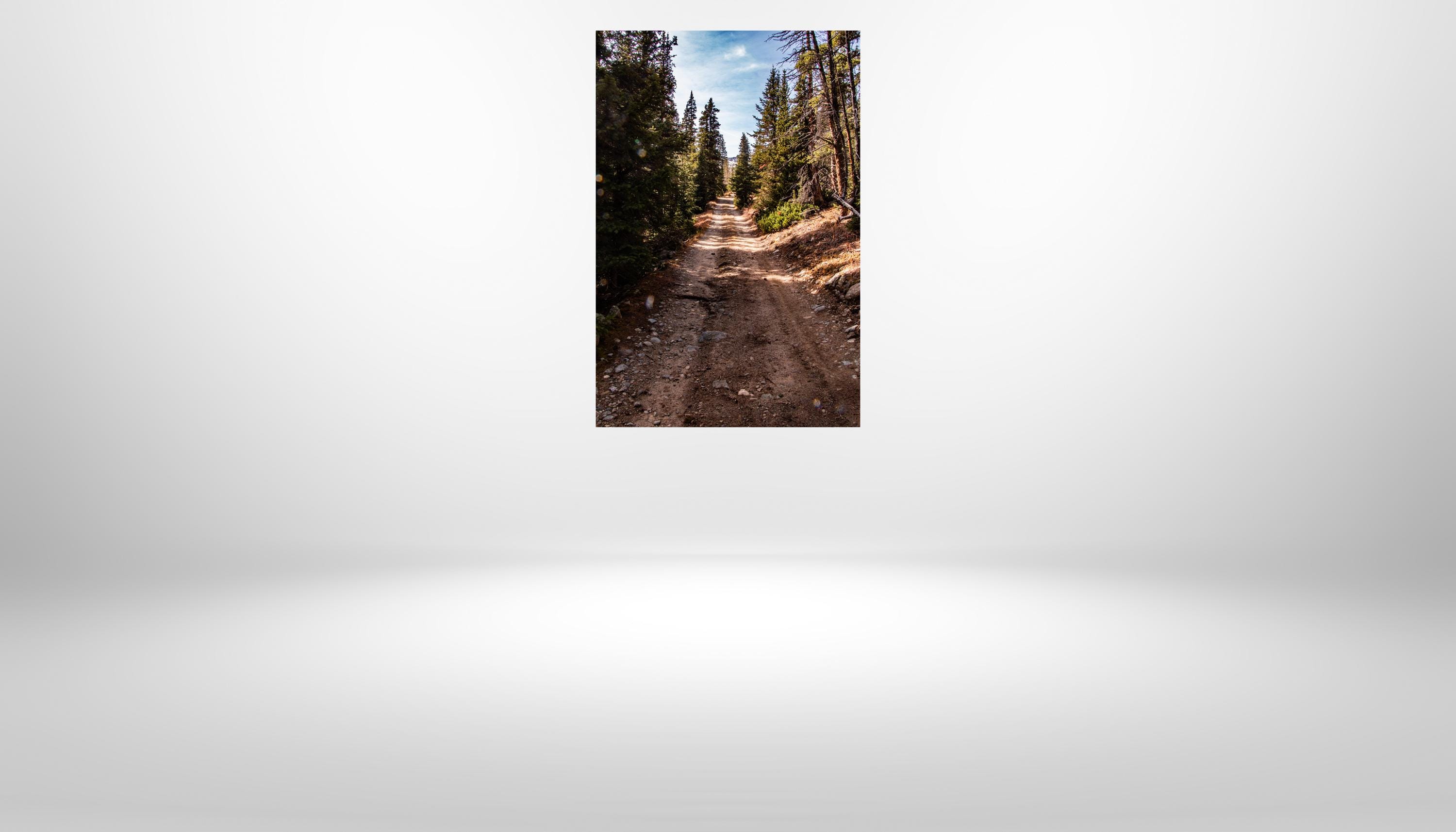 Grizzly Gulch Side Road - Etsy