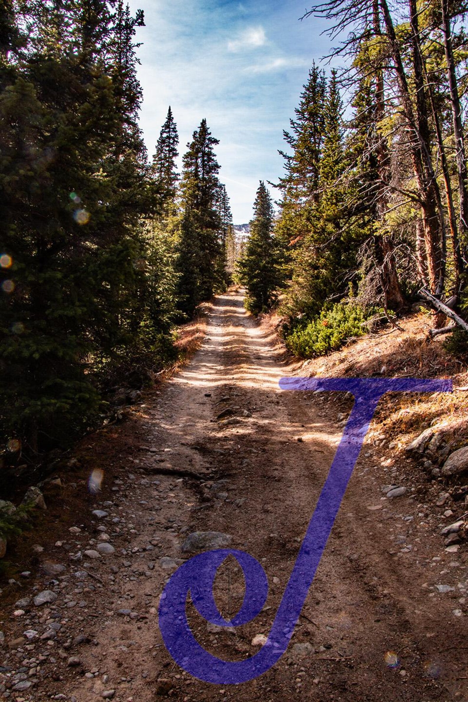 Grizzly Gulch Side Road - Etsy