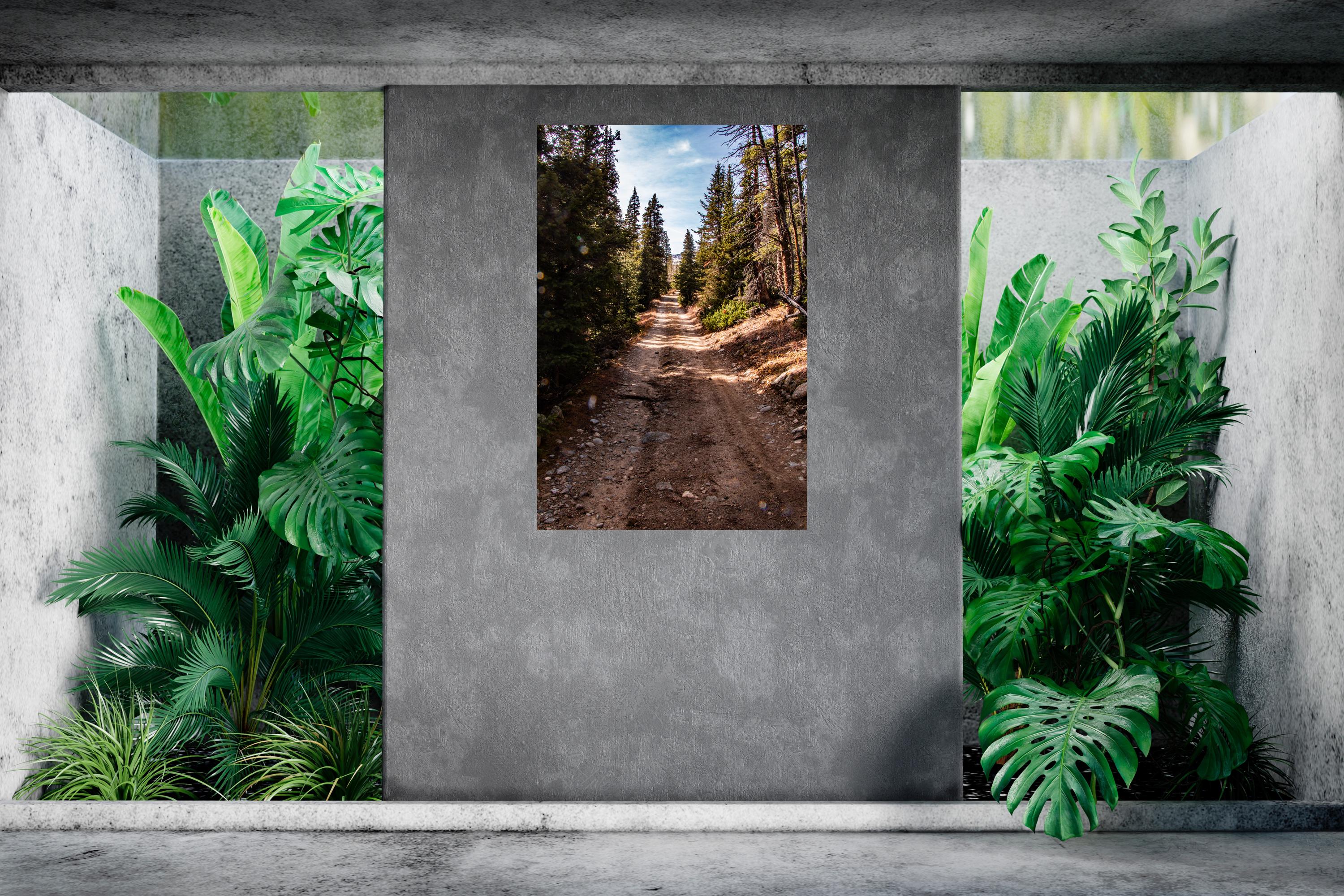 Grizzly Gulch Side Road - Etsy