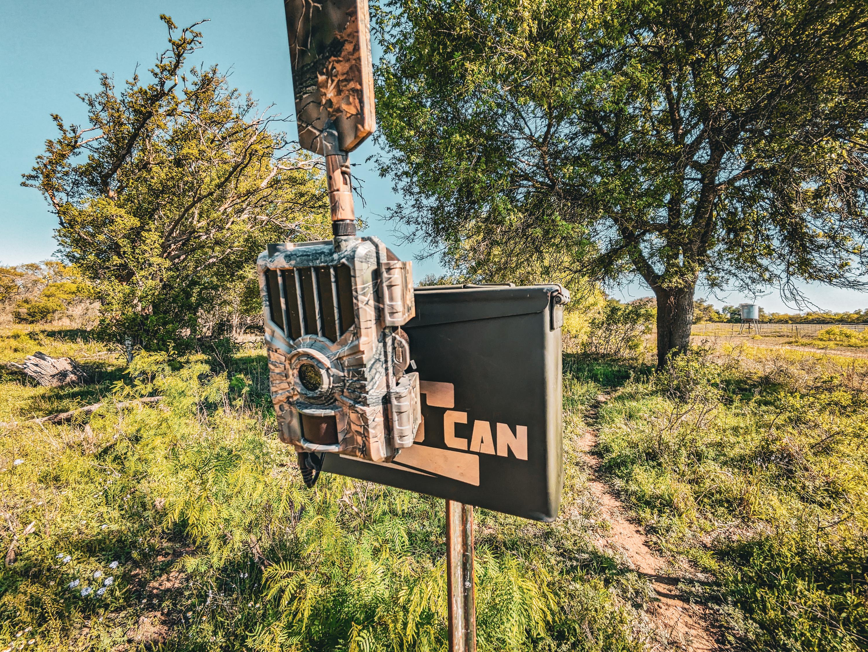 12 Volt Ready Trail Cam Mount for T-posts, Deer Hunting, Hunting Gear ...