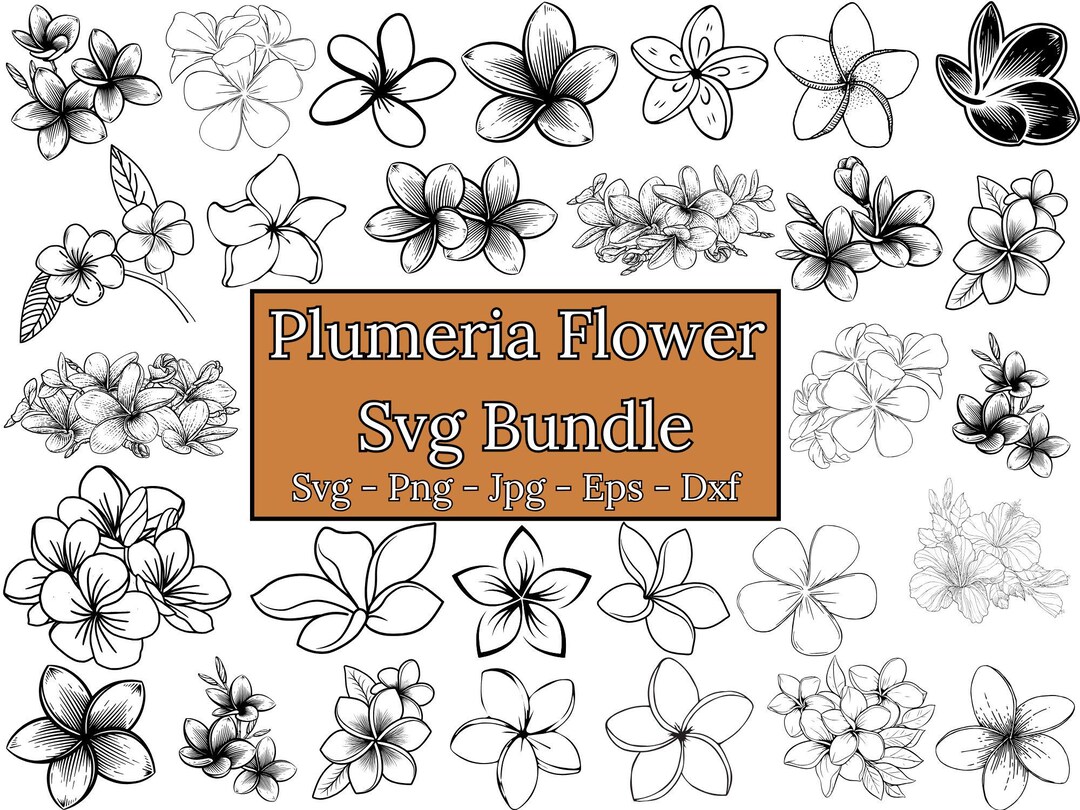 Plumeria Flower Bundle Svg Png,hawaiian Flowers Bundle,handdrawn ...