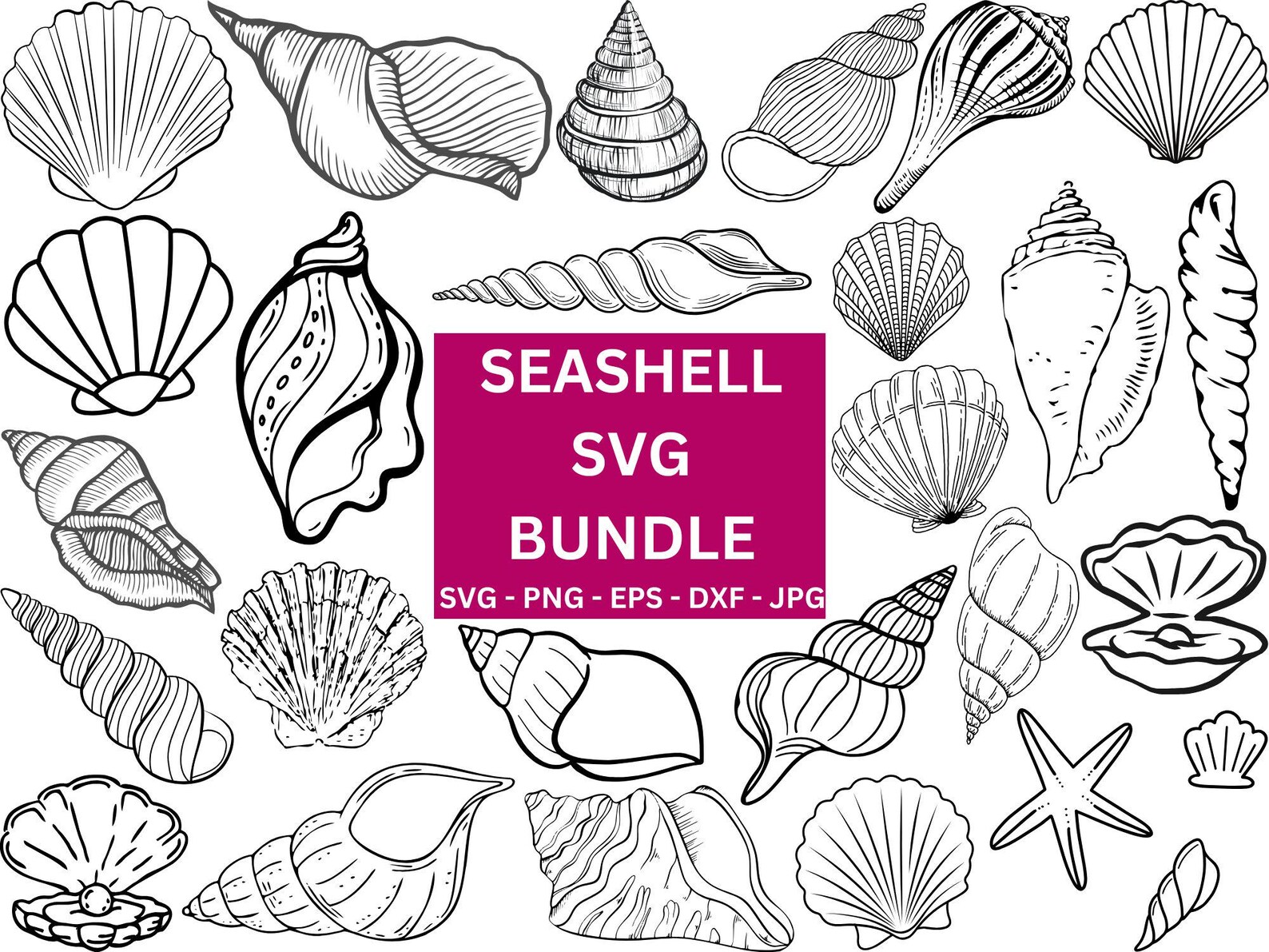 Seashell Svg,seashell Cut Files,digital Download,seashell Cricut,sea ...