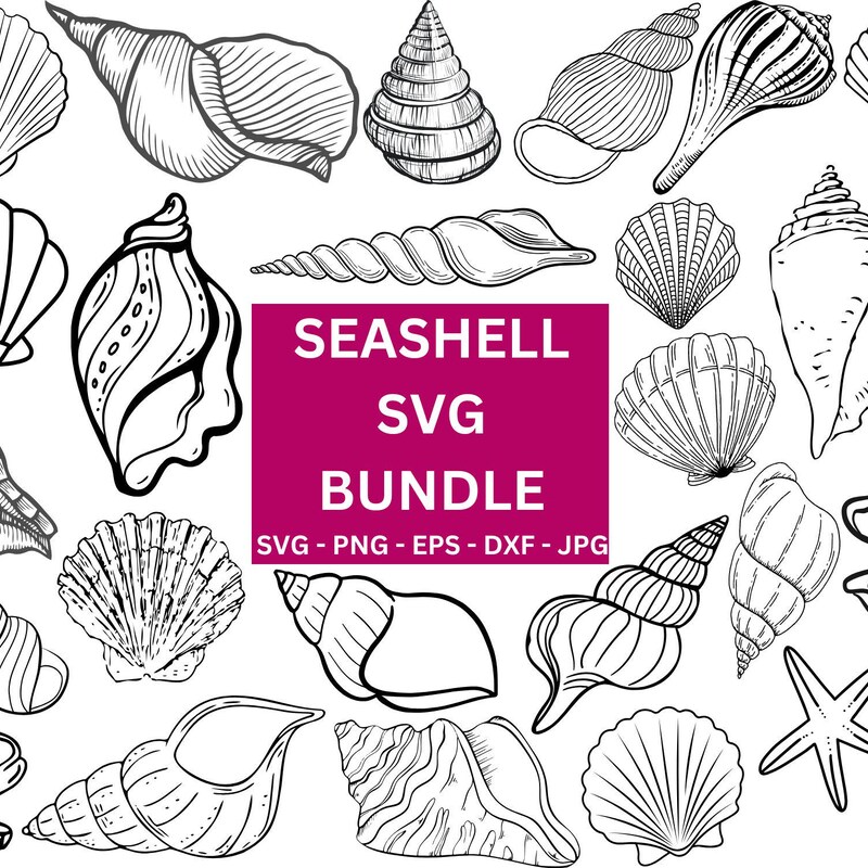 Cut Seashells - Etsy