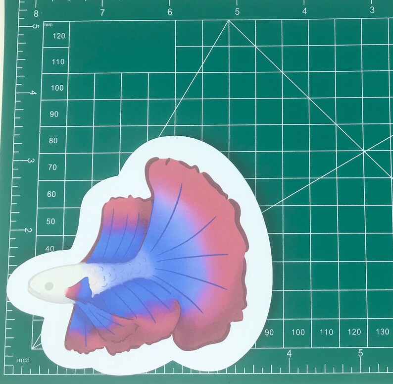 Male Lakeside Sunset Betta Fish Sticker, Betta, Male Betta, Fish, Paper ...