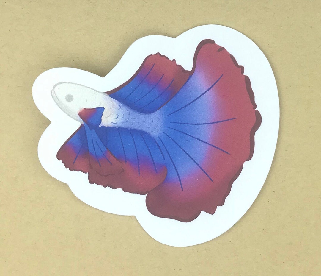 Male Lakeside Sunset Betta Fish Sticker, Betta, Male Betta, Fish, Paper ...