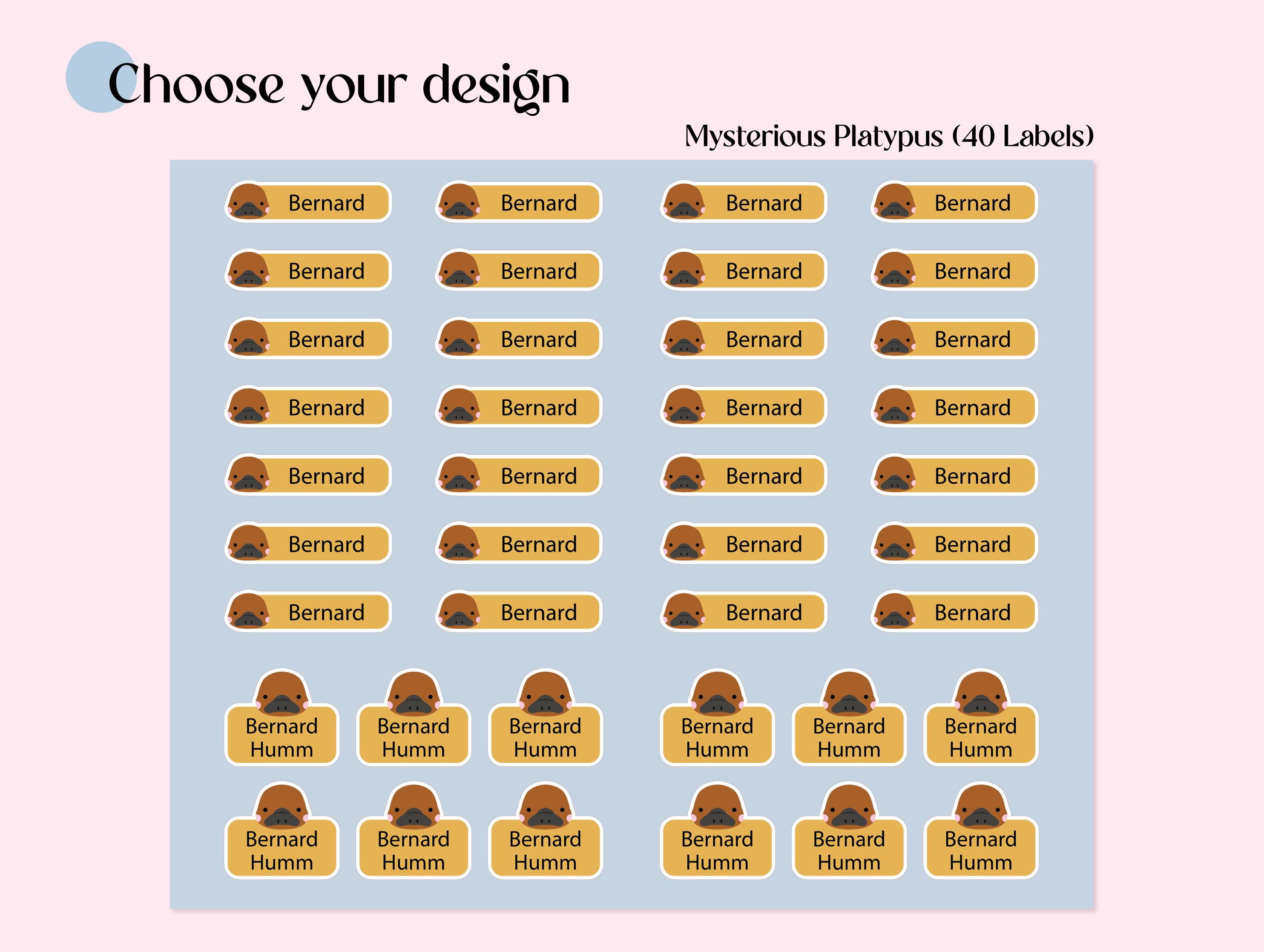 40 Labels, Cute Australian Animal Designs, Kid Name Label, Waterproof ...