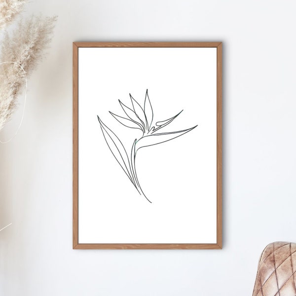 Bird of Paradise Line Drawing - Etsy