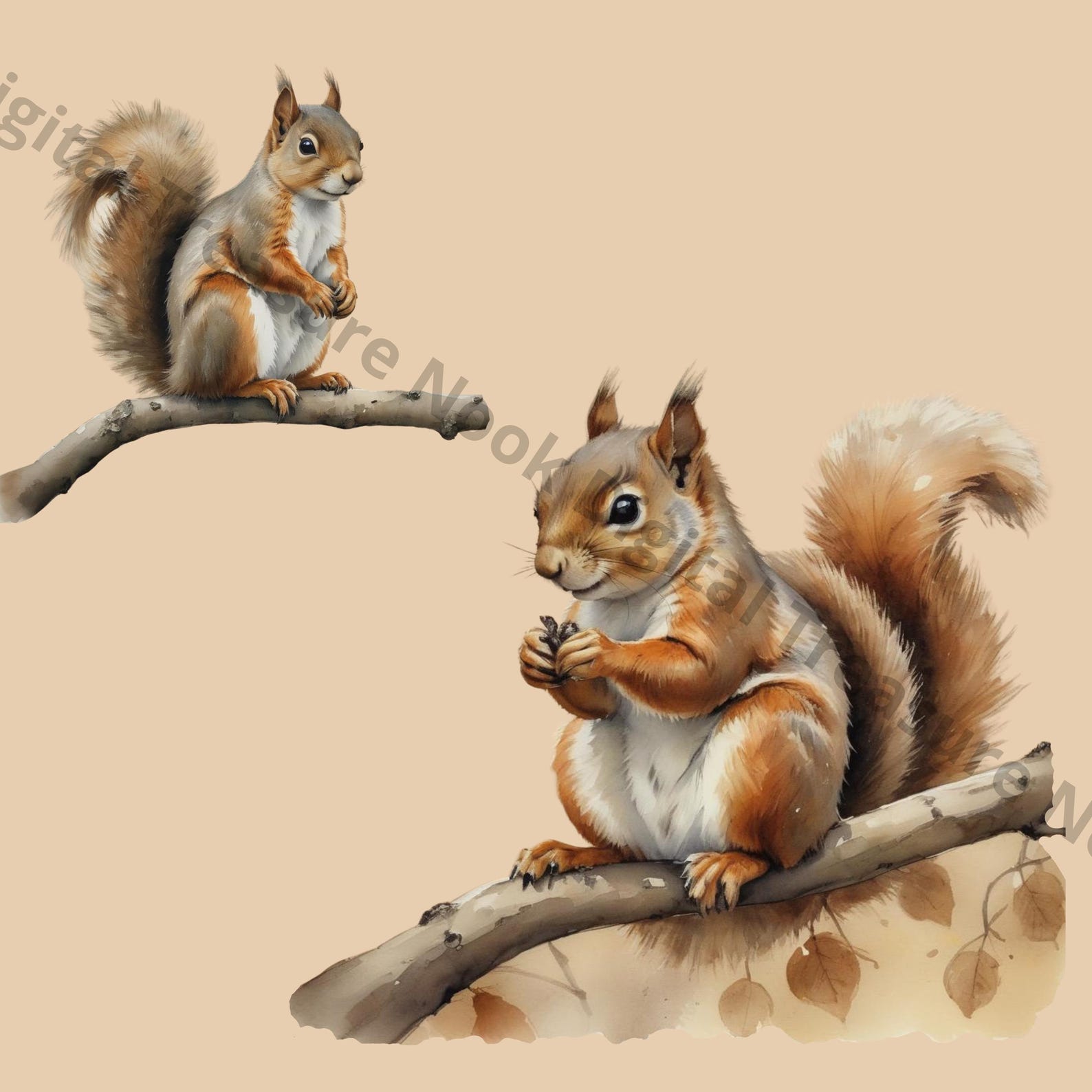 12 Squirrel Clipart, Watercolor Clipart, High Quality, PNG, Fall Clip ...